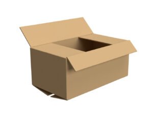 Corrugated Packaging Boxes - Accupak Private Limited